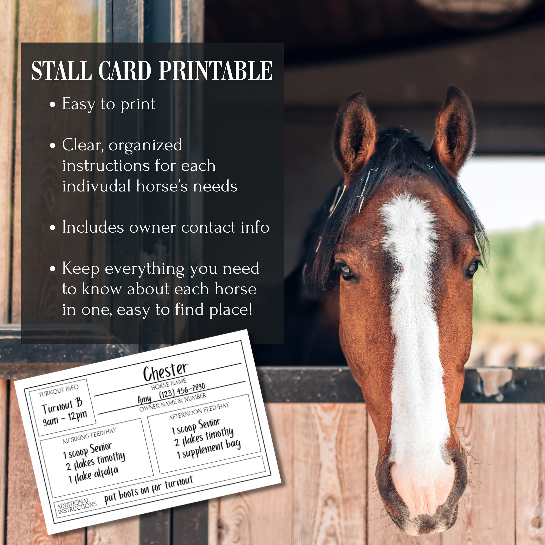 Stall Sign Printable | Horse Name Plate Stall Card | Barn Signs Equine ...