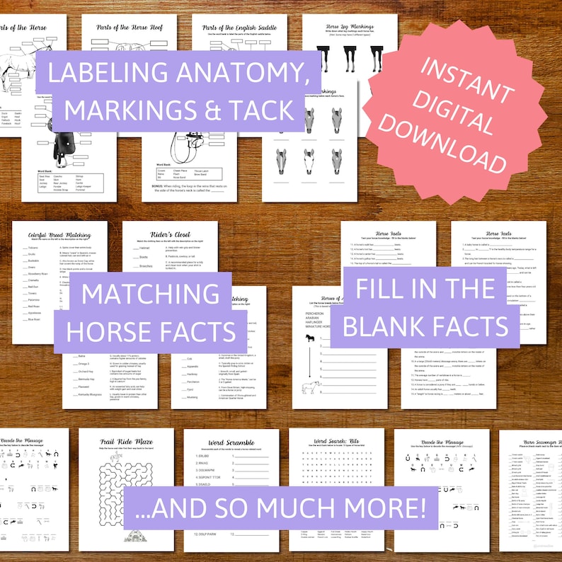 Horse Camp Worksheet Bundle | Horseback Riding Lesson Rain Day Activity | Homeschool Horse ...