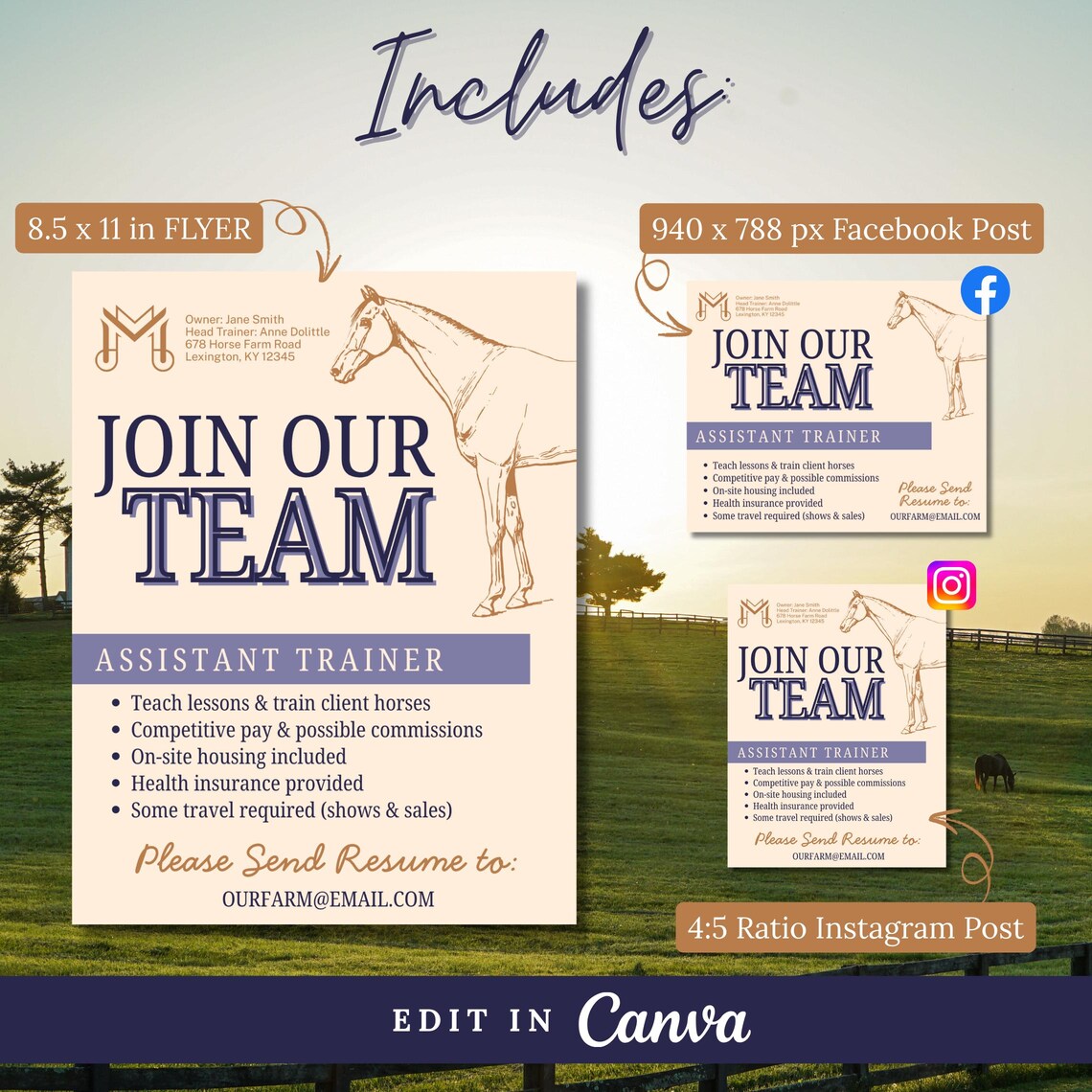 Flyer Template Equestrian Business | Equine Industry Digital Download ...