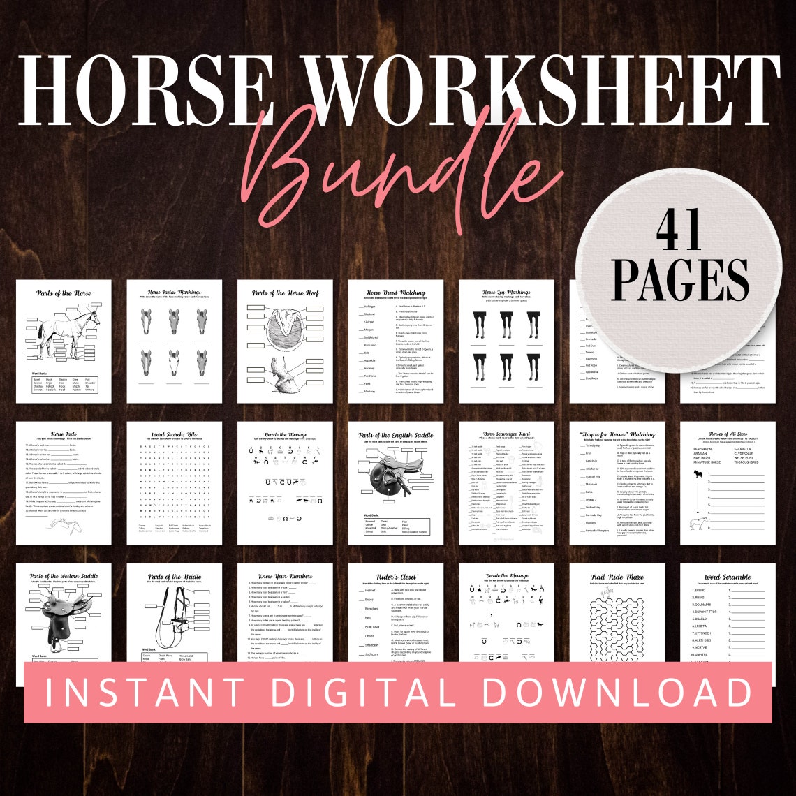 Horse Camp Worksheet Bundle | Horseback Riding Lesson Rain Day Activity | Homeschool Horse ...