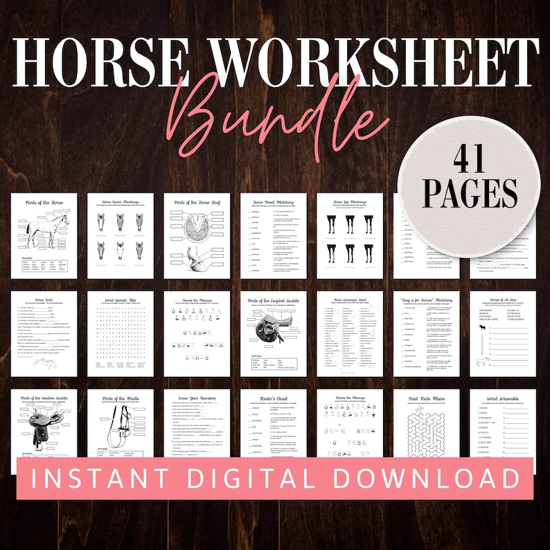 Horse Camp Worksheet Bundle | Horseback Riding Lesson Rain Day Activity ...