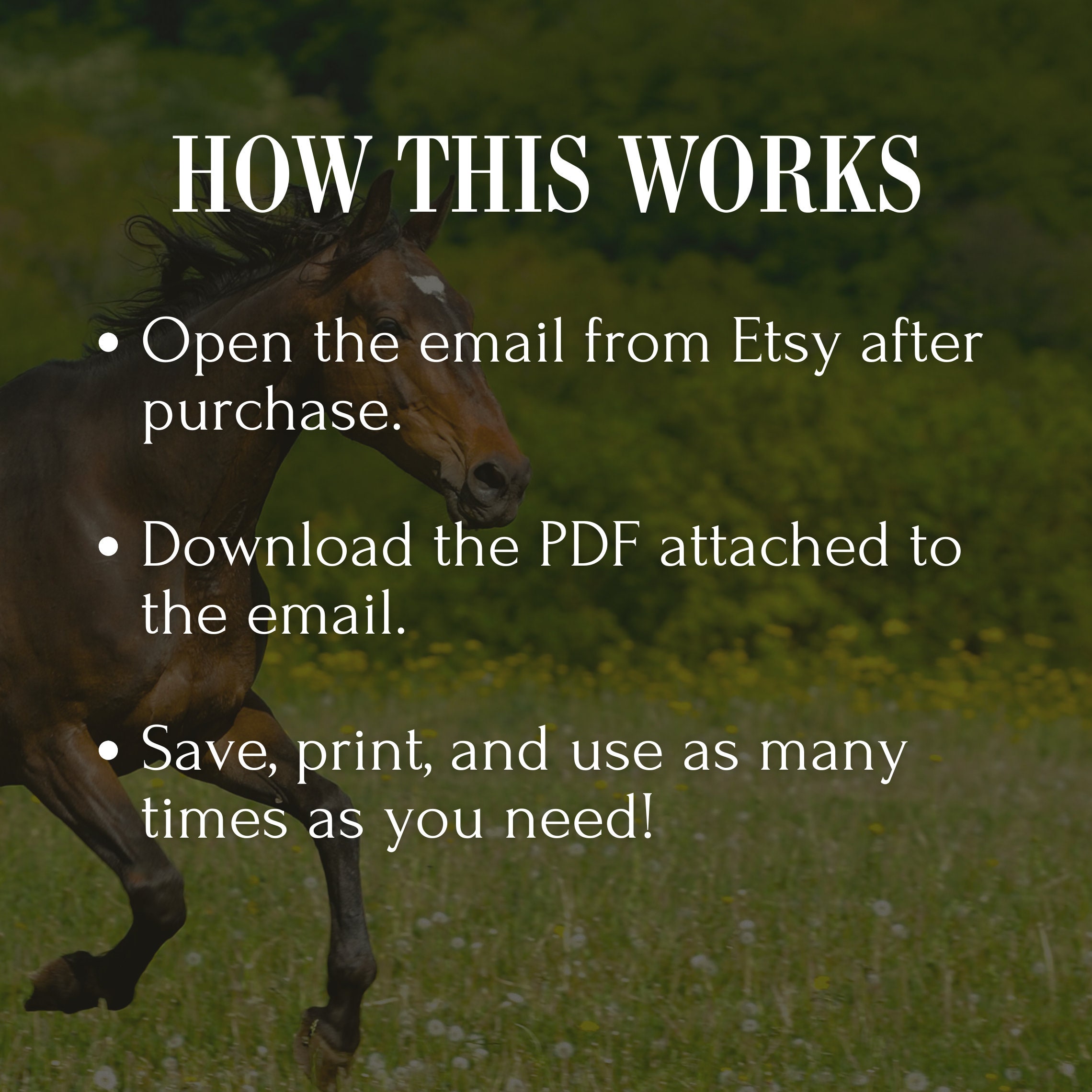 Horse-themed Game | Alphabet Educational Equine Activity | Horse Camp ...