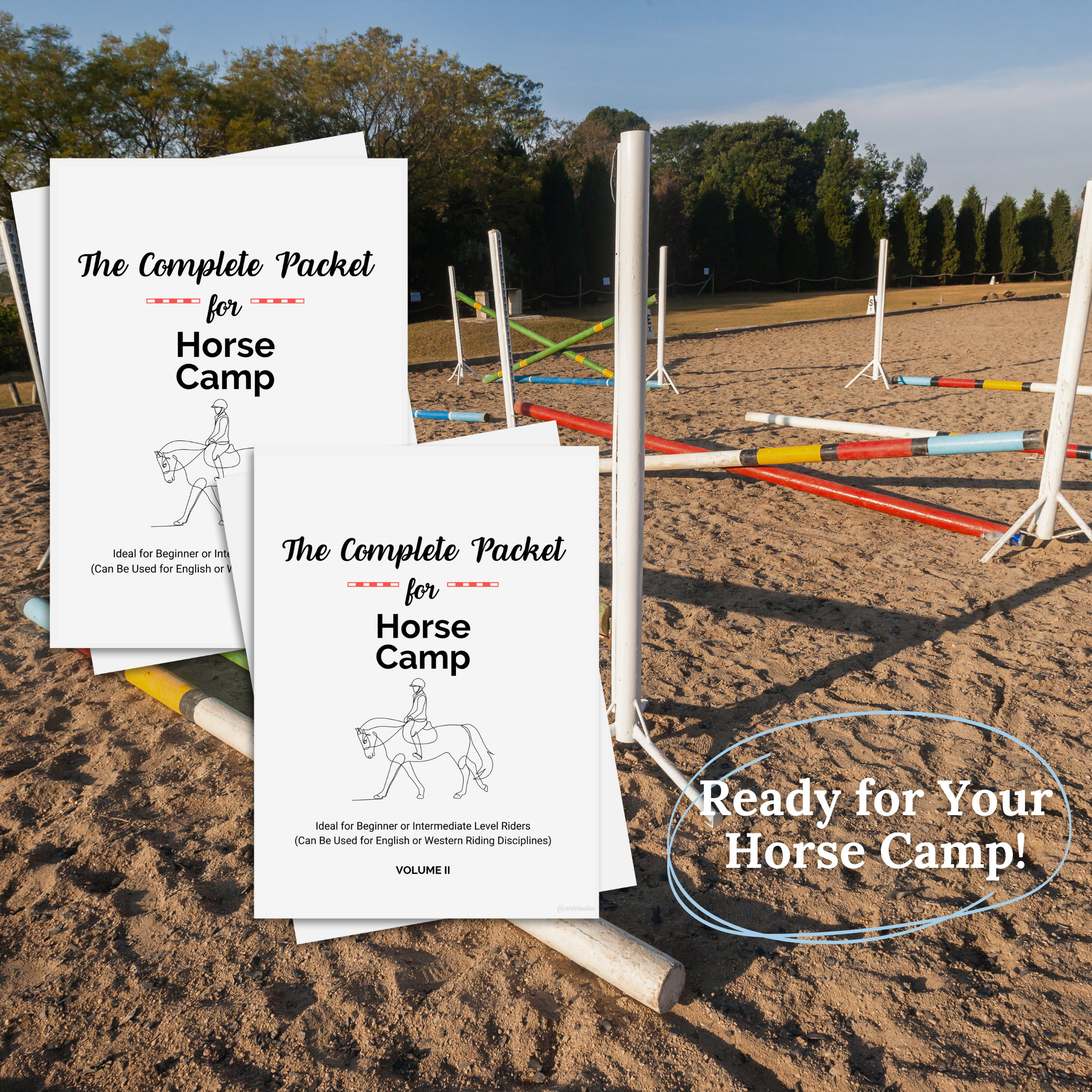 DOUBLE BUNDLE Horse Camp Lessons and Activities Packet | Horseback ...