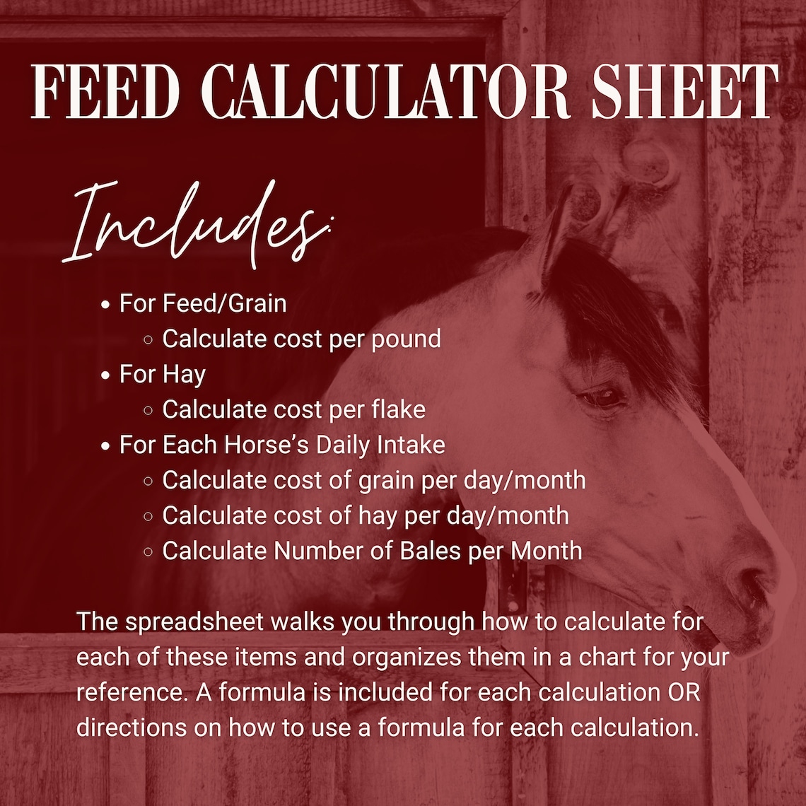 Horse Farm Management Spreadsheet | Barn or Stable Organization ...