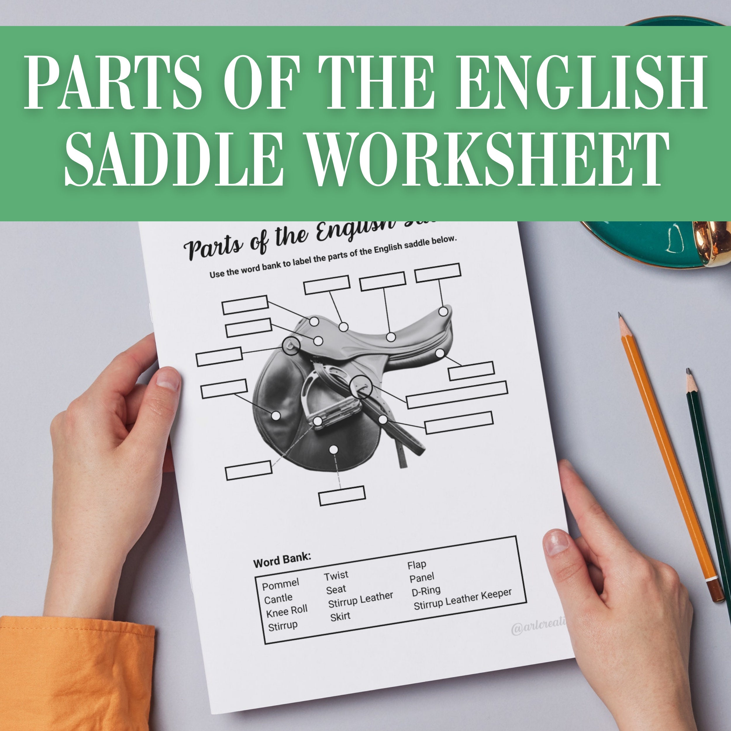 Parts of the English Saddle Horse Camp Worksheet Activity Horseback ...