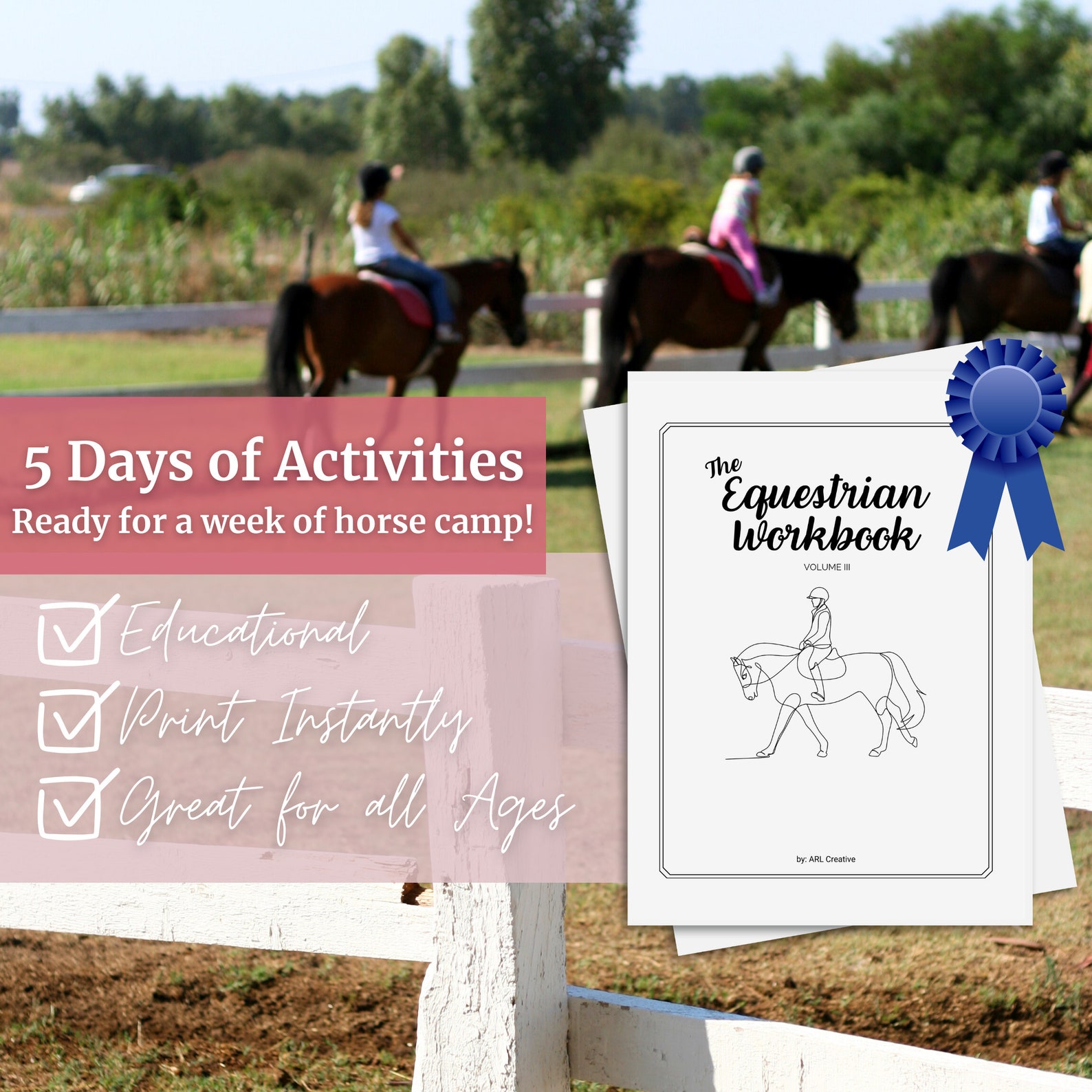 Horse Camp Activity Worksheet | Horseback Riding Lessons Plan | Equine ...