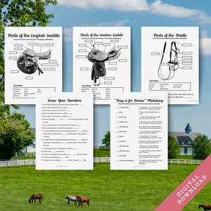 Horse Camp Activity Worksheet | Horseback Riding Lessons Plan | Equine ...