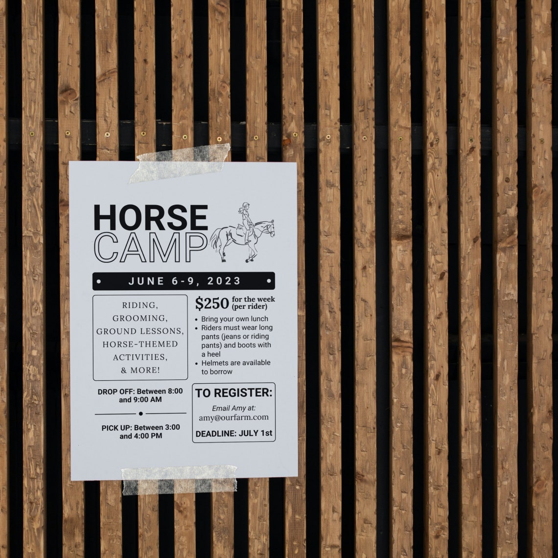 Horse Camp Flyer Template | Canva Flyer Template | Summer Camp Flyer ...