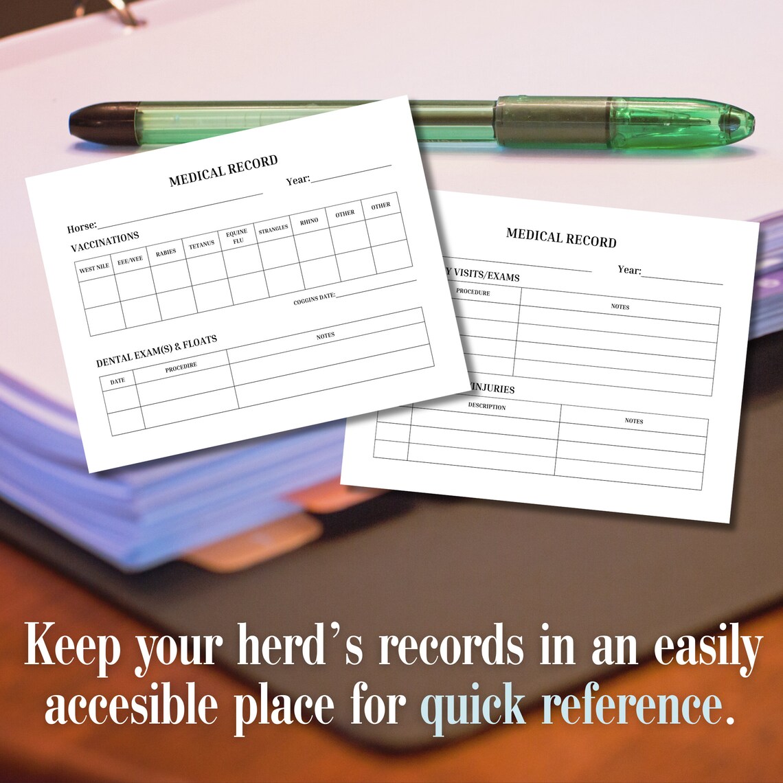 Horse Medical Record Tracking Equine Veterinary Visit Log Vaccination ...