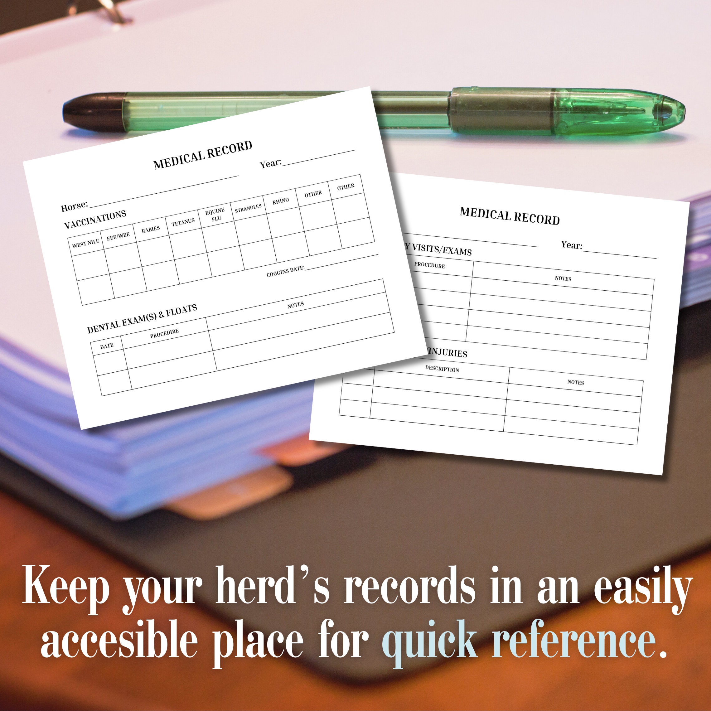 Horse Medical Record Tracking Equine Veterinary Visit Log Vaccination ...