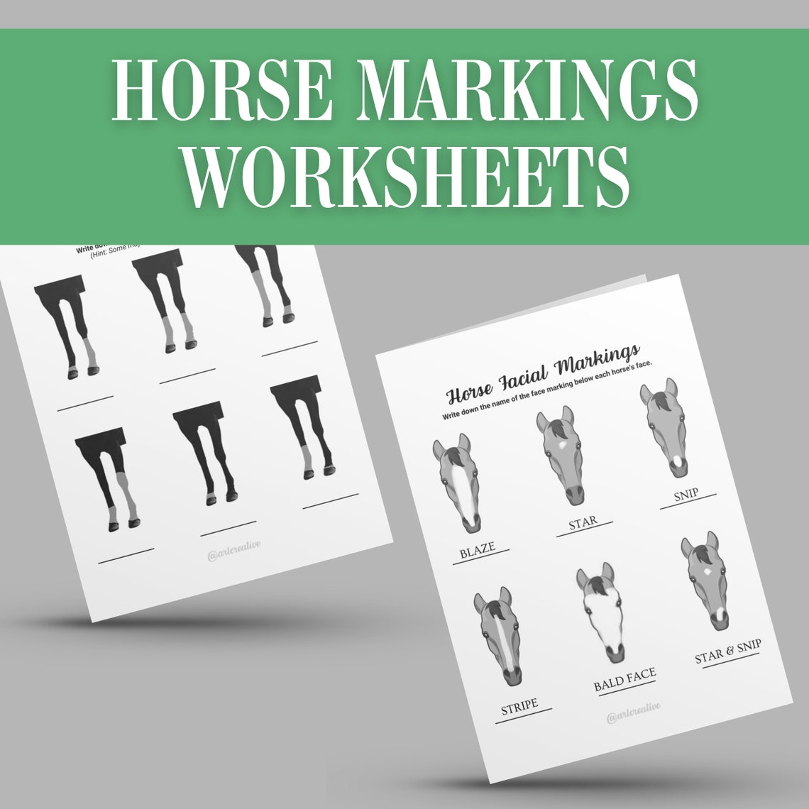 Label Horse's Markings Camp Activity Worksheet Printable | Equine ...