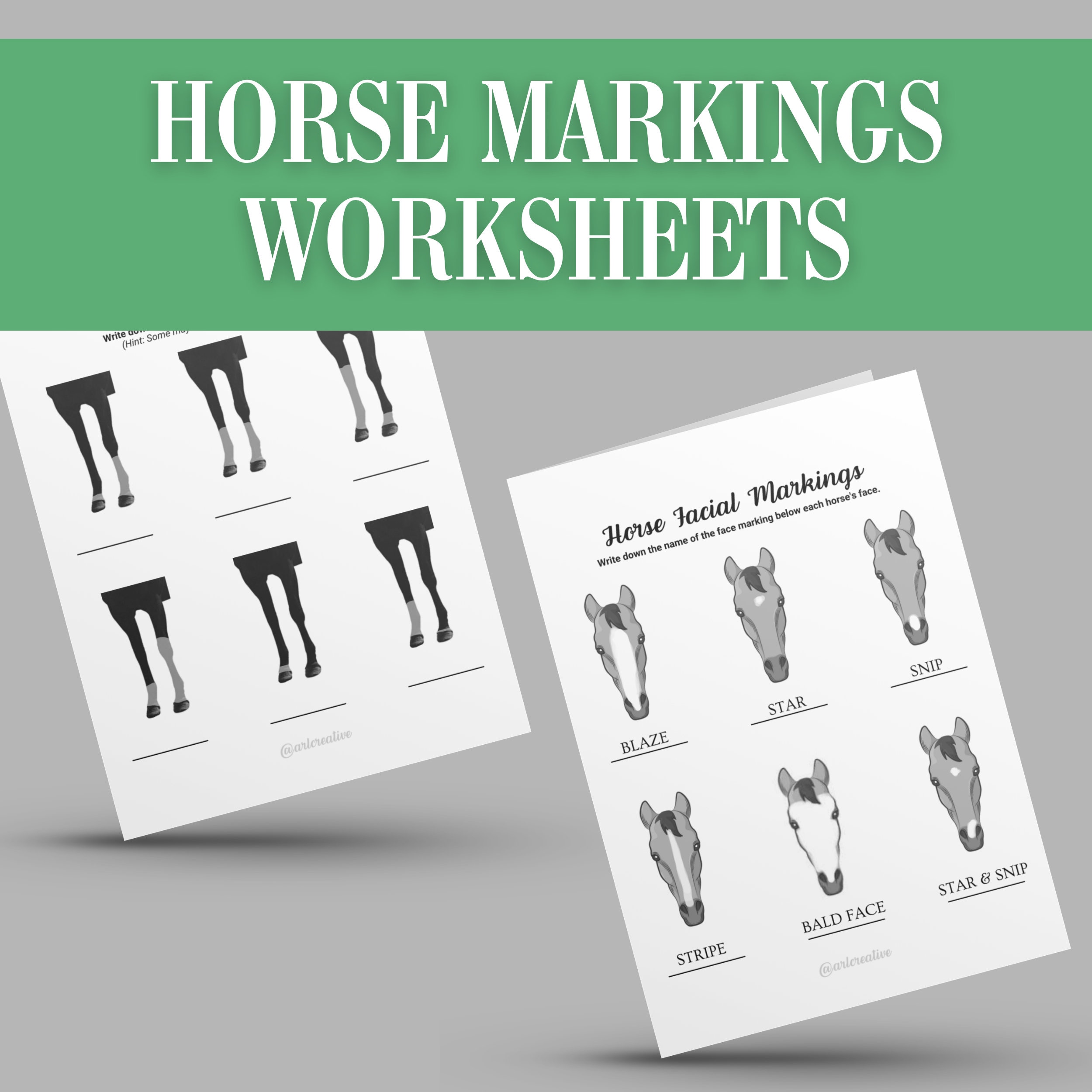 Label Horse's Markings Camp Activity Worksheet Printable | Equine ...