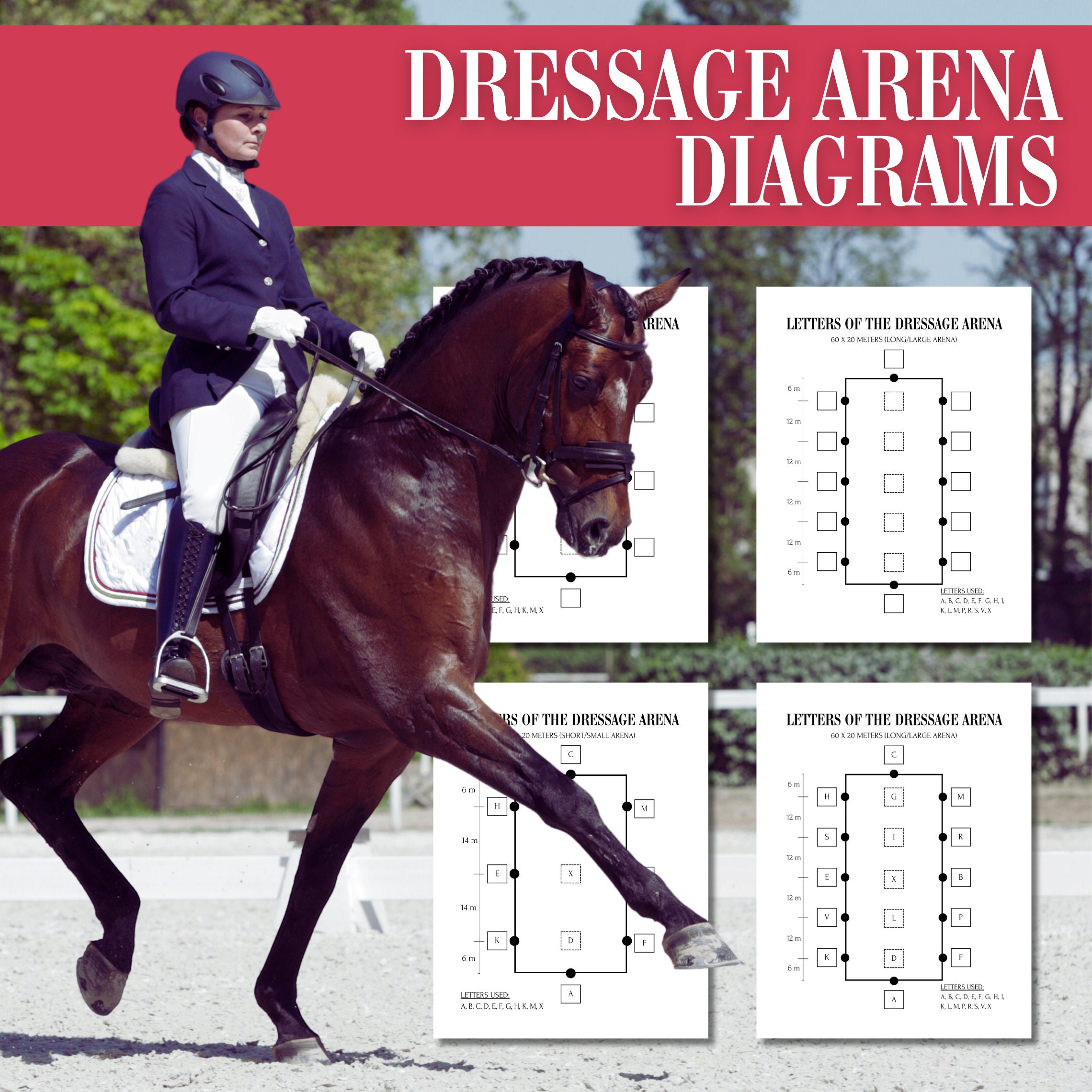 Dressage Arena Diagram | Dressage Letters Labeling | Parts of the ...