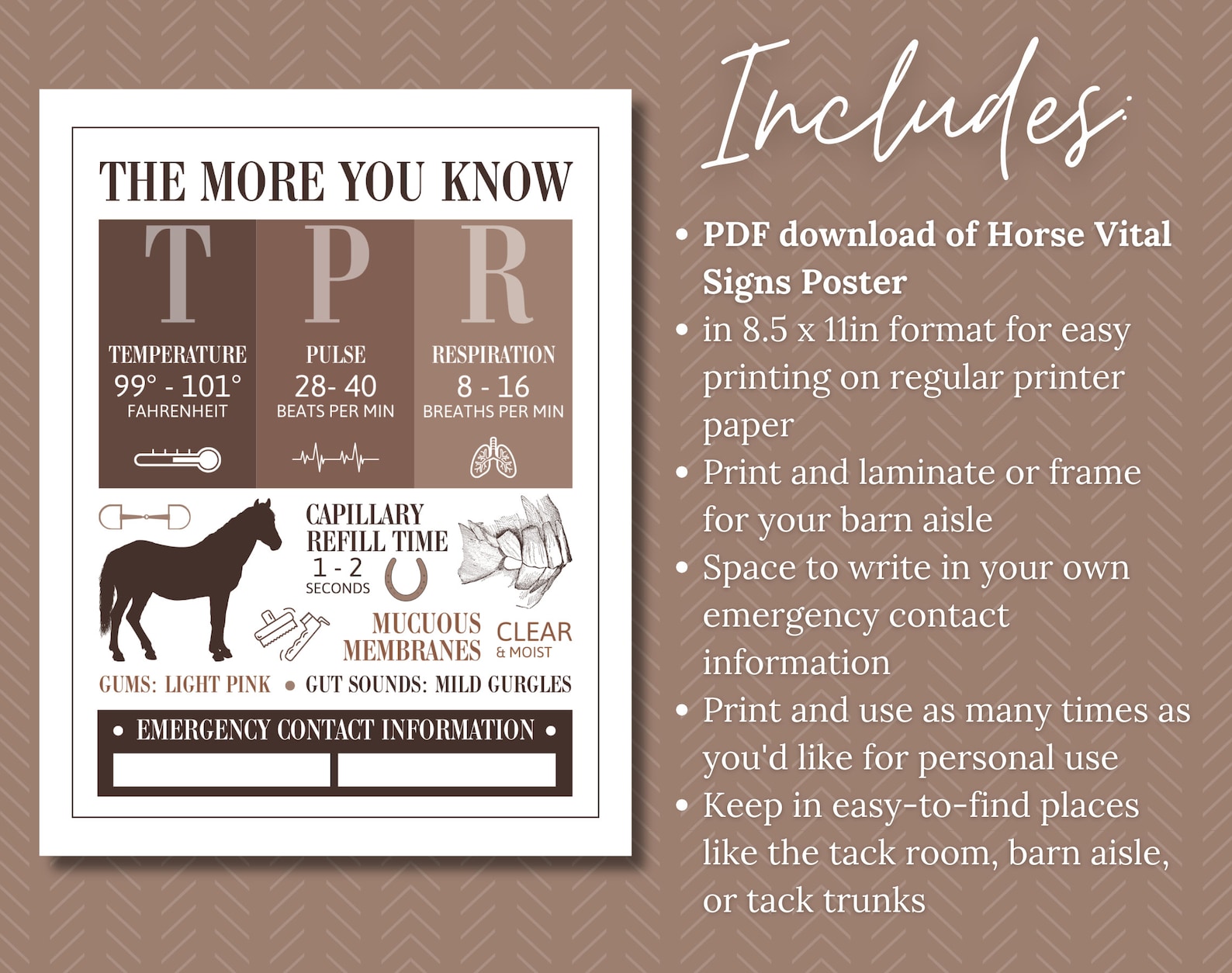 Horse Vital Signs Poster | Barn Emergency Contact Info Sign | Equine ...