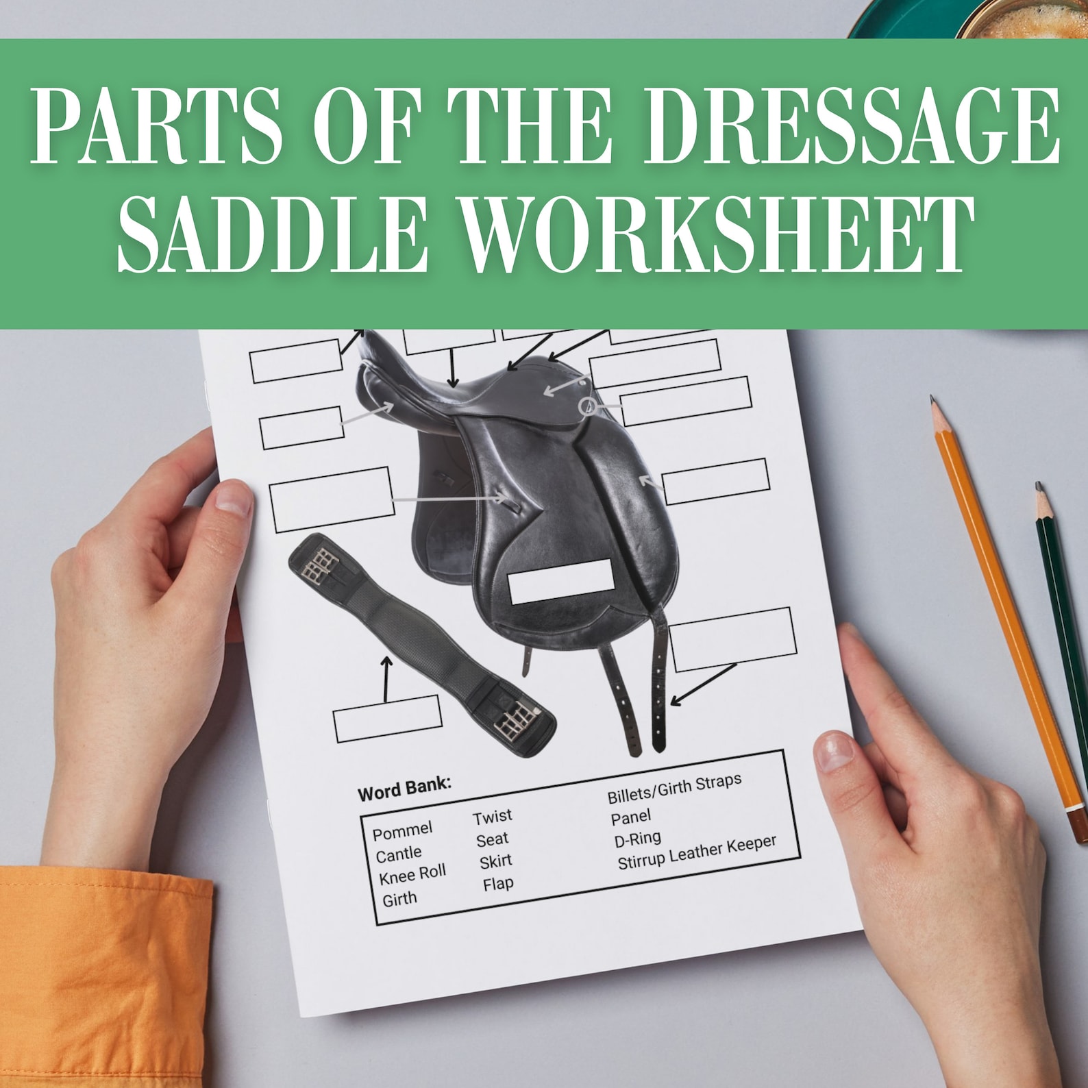 Parts of the Dressage Saddle Horse Camp Worksheet Activity | Horseback ...