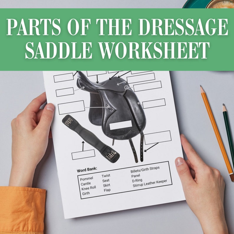 Parts of the Dressage Saddle Horse Camp Worksheet Activity | Horseback ...