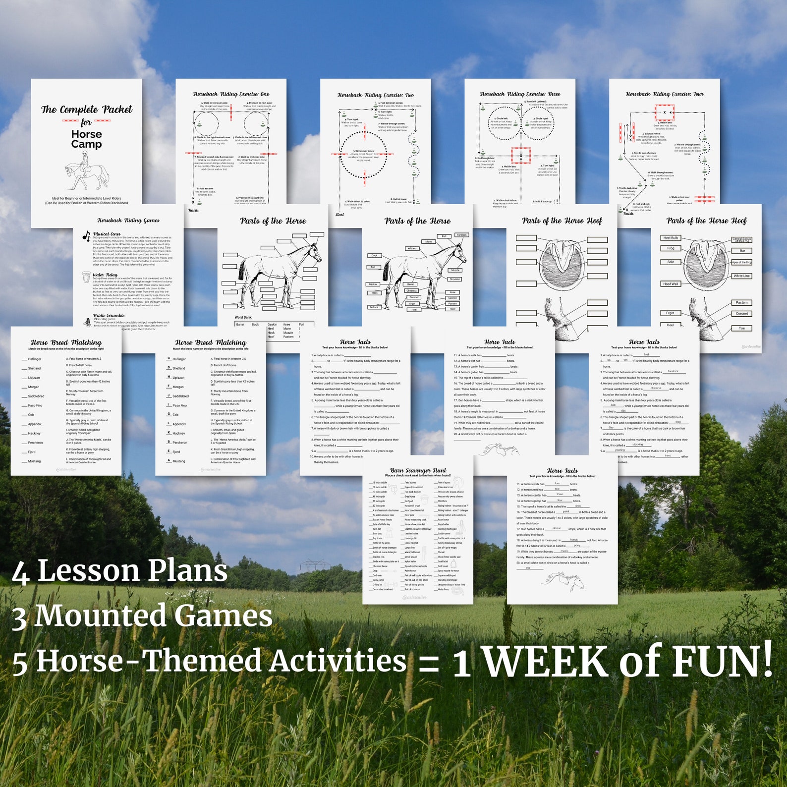 Complete Horse Camp Lessons and Activities Packet | Horseback Riding ...