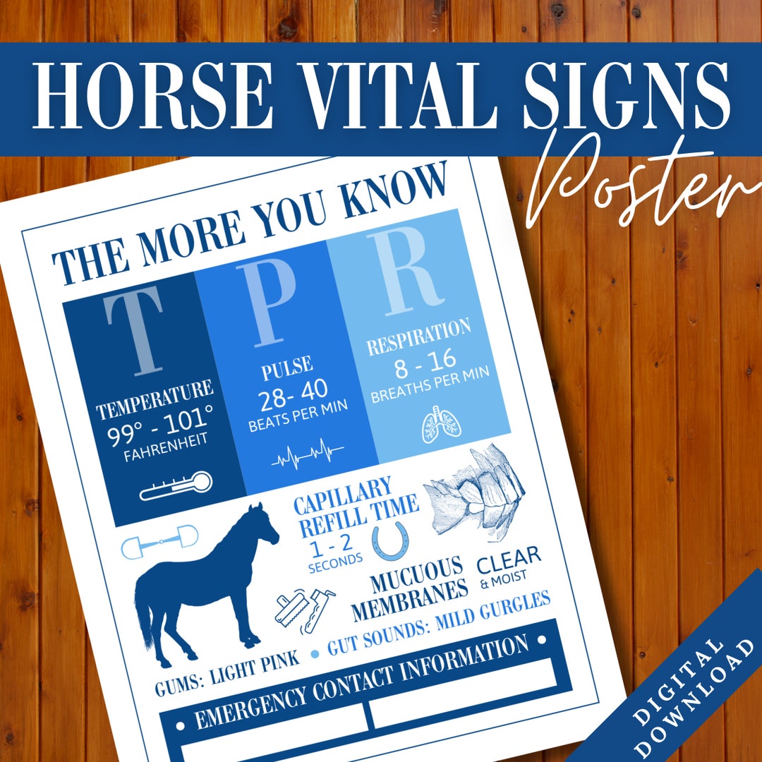 Horse Vital Signs Poster | Barn Emergency Contact Info Sign | Equine ...