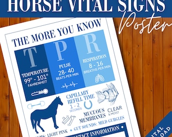 Parts of the Horse Worksheet - Etsy