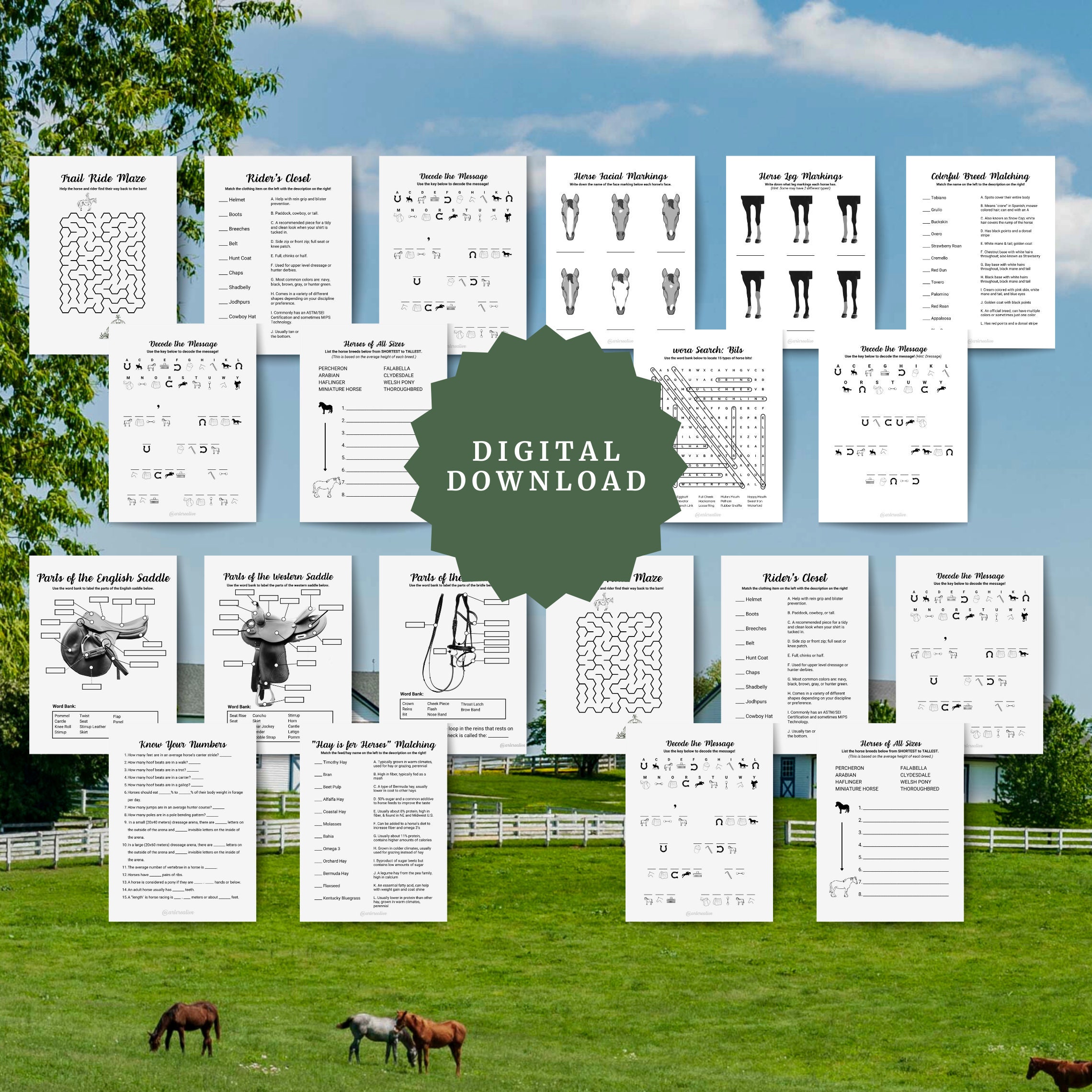 Horse Camp Activity Worksheet Printables | Equestrian Workbook | Equine ...