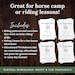 Horse Camp Activity Worksheet | Horseback Riding Lesson Plan ...