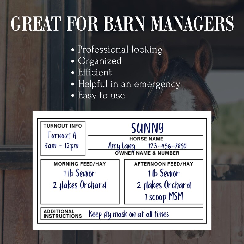 Stall Sign Printable | Horse Name Plate Stall Card | Barn Signs Equine ...