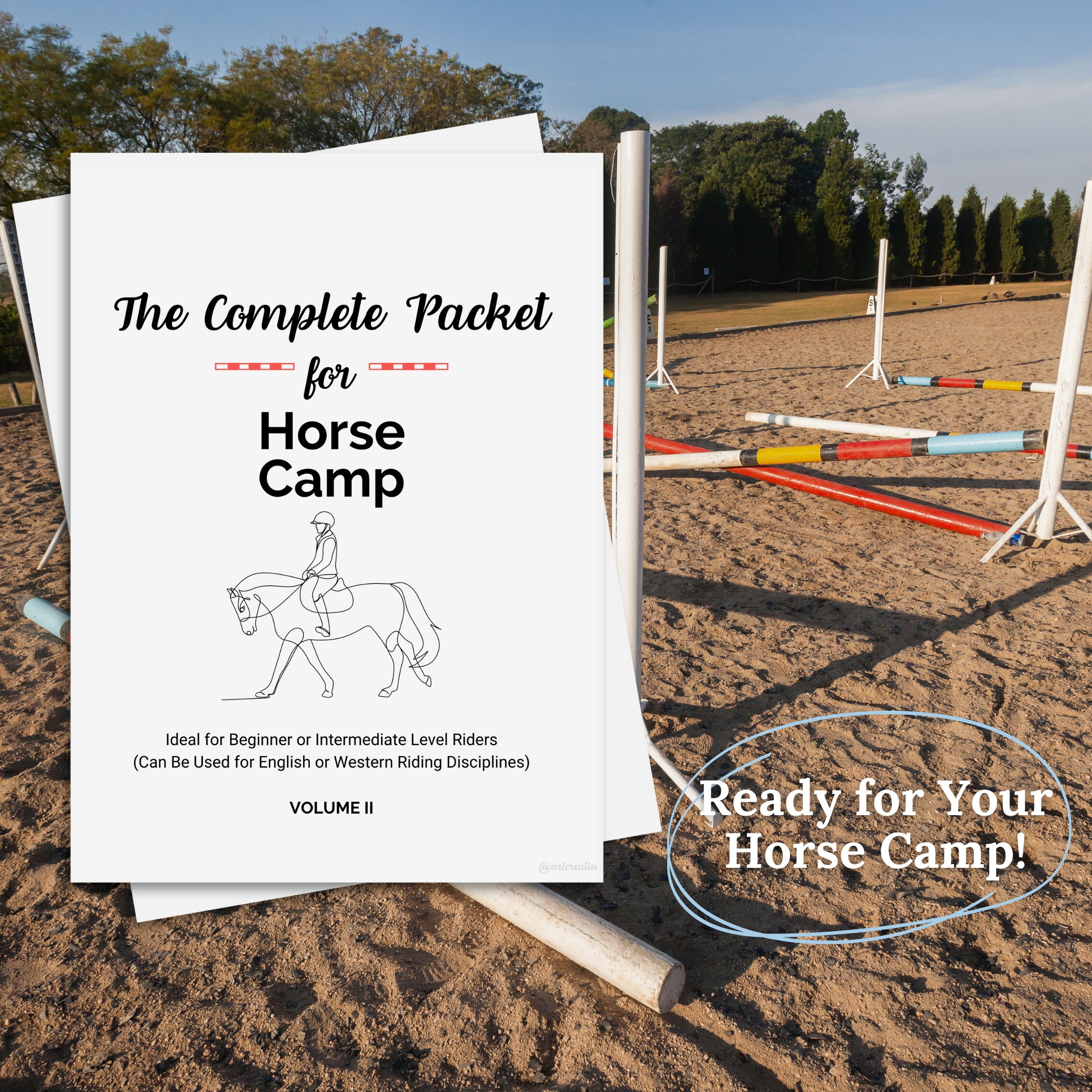 Horse Camp Activity Worksheet | Horseback Riding Lesson Plan ...