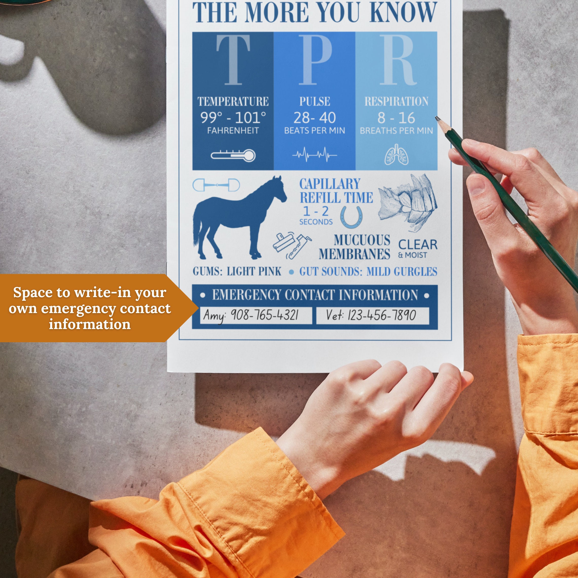 Horse Vital Signs Poster | Barn Emergency Contact Info Sign | Equine ...