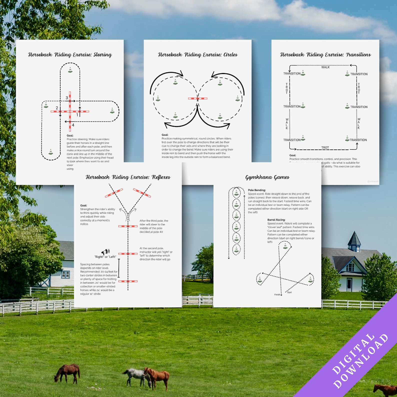 Horse Camp Activity Worksheet | Horseback Riding Lesson Plan ...