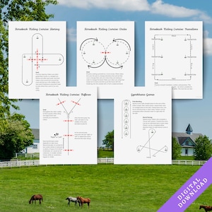 Horse Camp Activity Worksheet | Horseback Riding Lesson Plan ...