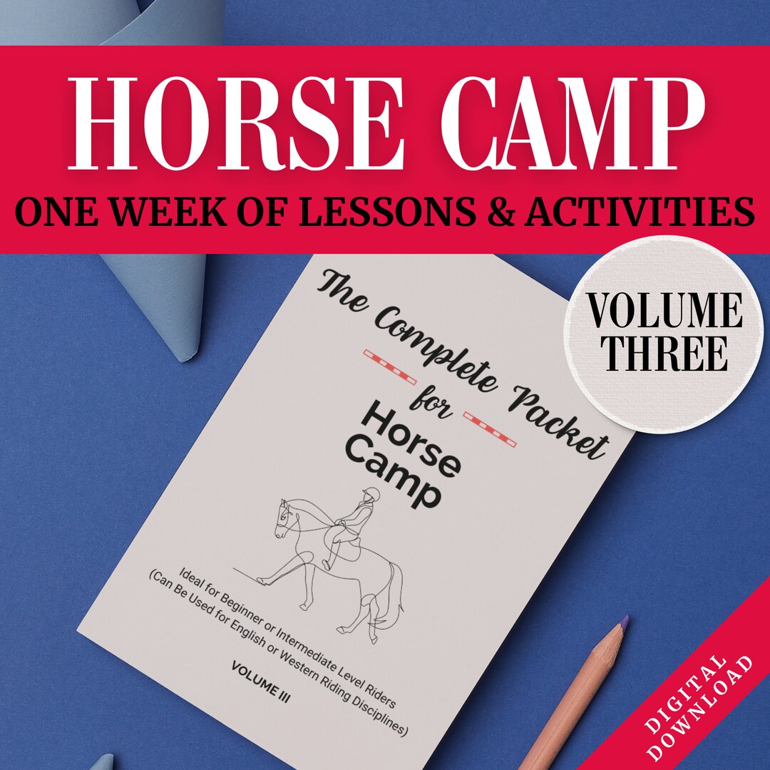 Horse Camp Activity Worksheet | Horseback Riding Lesson Plan ...