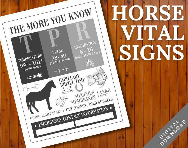 Horse Vital Signs Poster Barn Emergency Contact Info Sign Equine ...