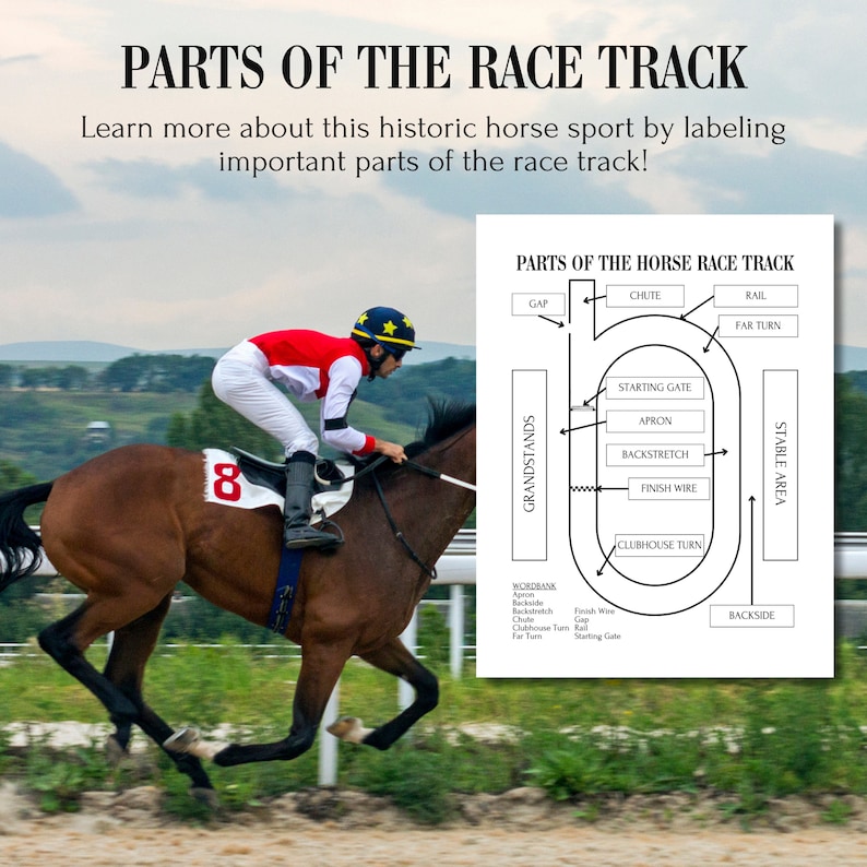 Horse Racing Track Diagram | Label Parts of the Horse Race Track ...
