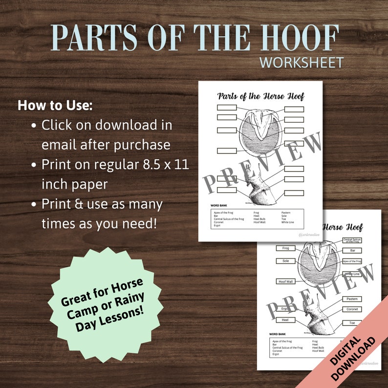 Label Parts of the Horse Hoof Homeschool Download Printable | Horseback ...