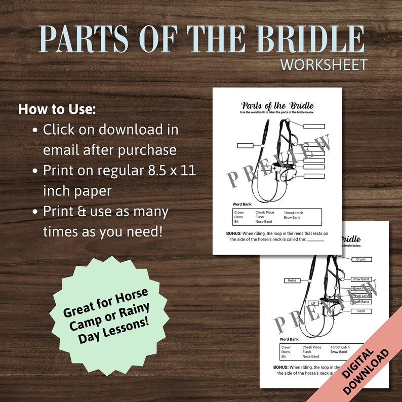 Parts of the Horse Bridle Worksheet | Horse Camp Activity Worksheet ...