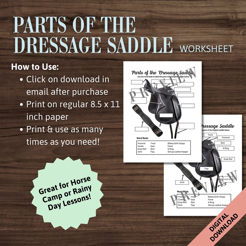 Parts of the Dressage Saddle Horse Camp Worksheet Activity | Horseback ...