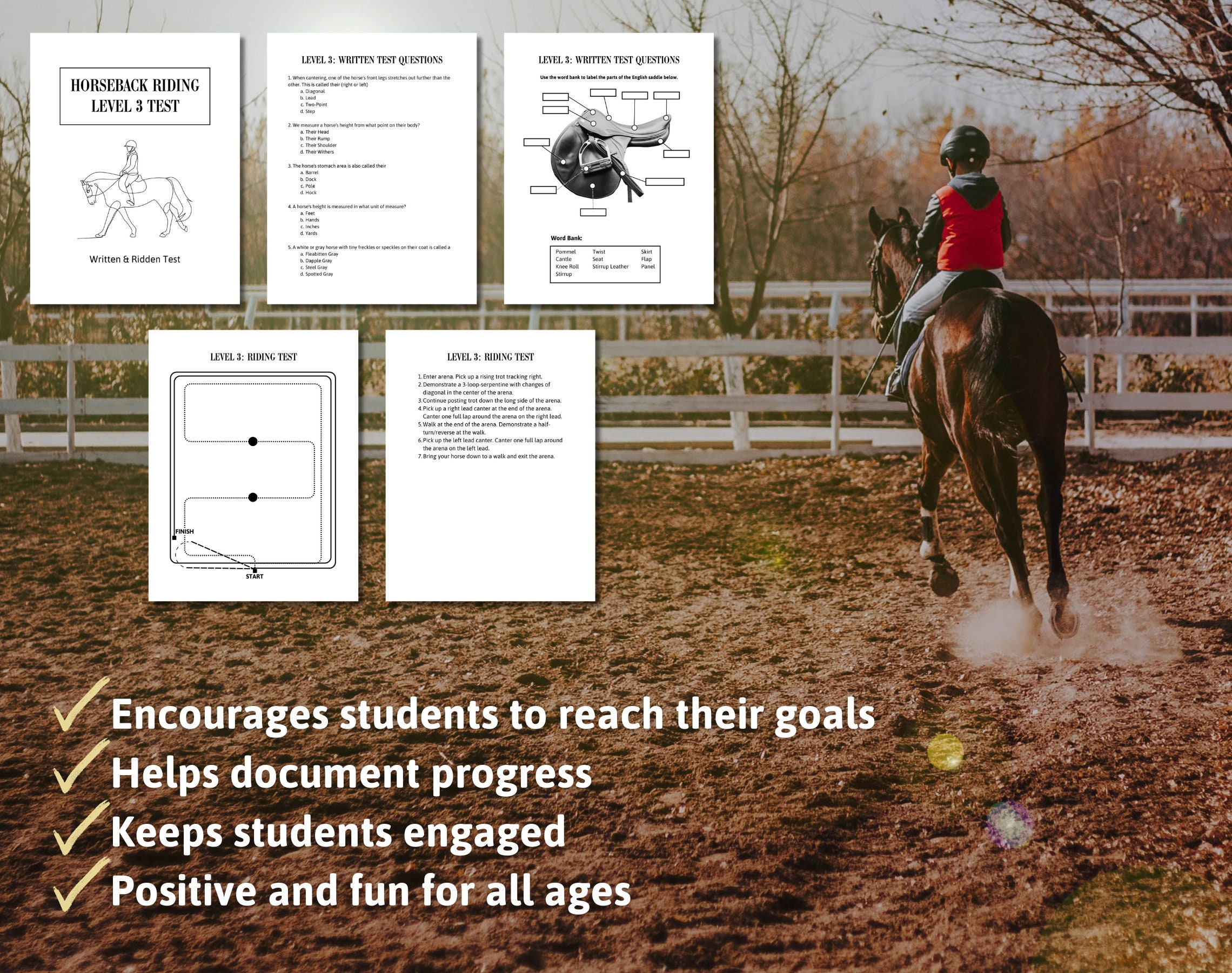 Riding Assessment Horseback Riding Lessons Horse Camp Horseback Riding ...