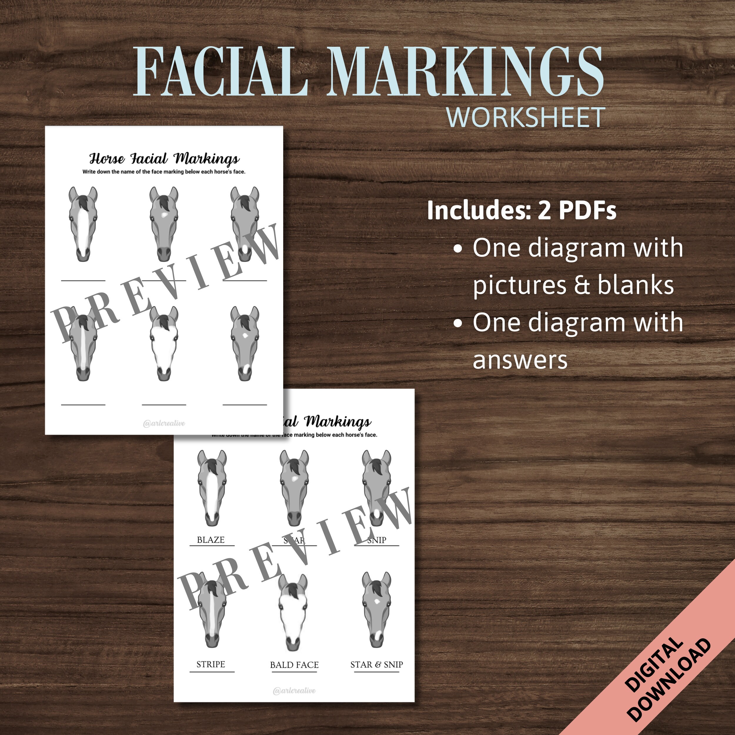 Label Horse's Markings Camp Activity Worksheet Printable | Equine ...