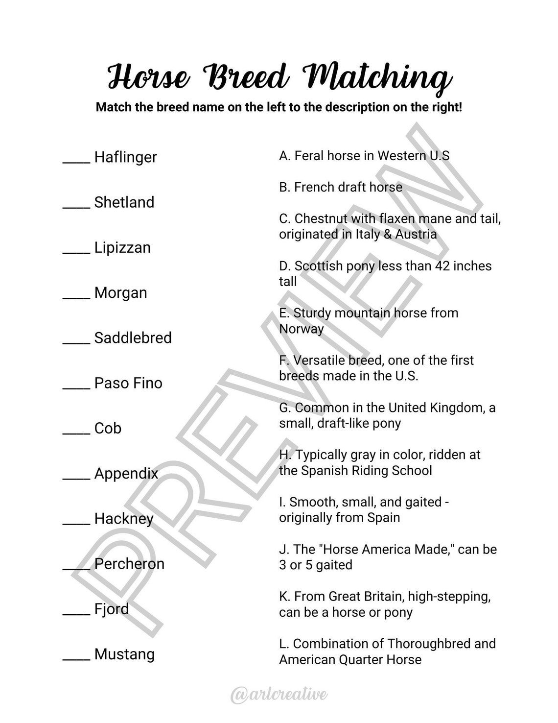 Horse Breed Matching Worksheet - Etsy