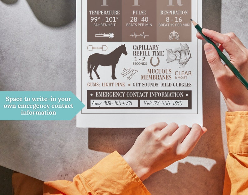 Horse Vital Signs Poster | Barn Emergency Contact Info Sign | Equine ...