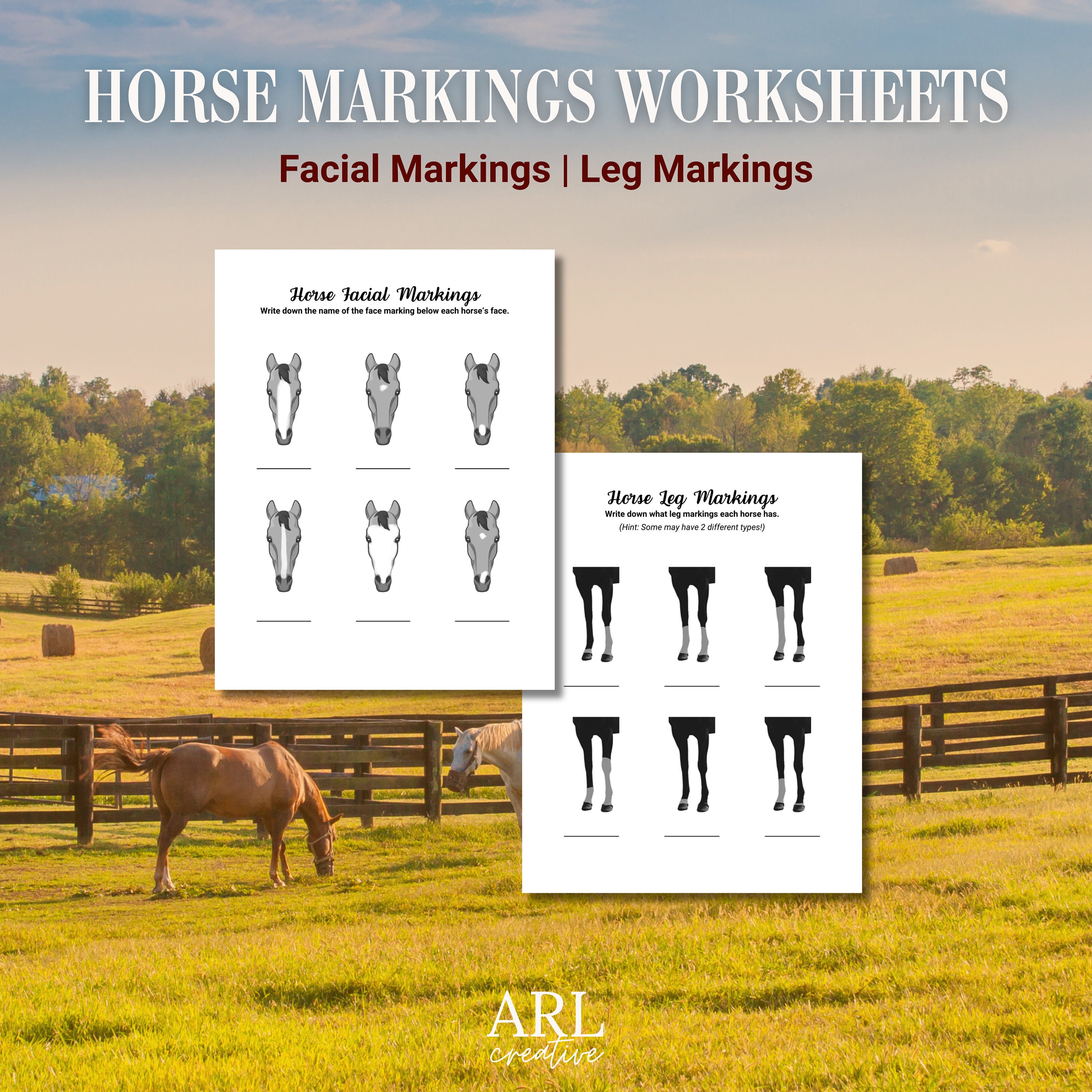 Horse Camp Worksheet Bundle | Horseback Riding Lesson Rain Day Activity ...