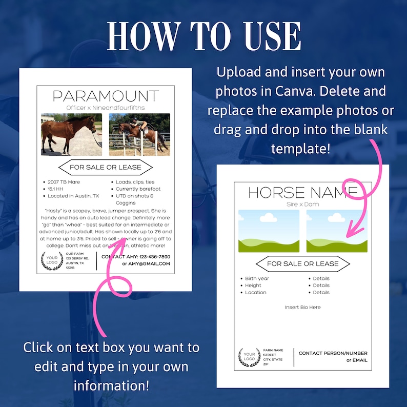Horse for Sale Flyer | Horse Canva Template | Horse Sale Flyer Template ...