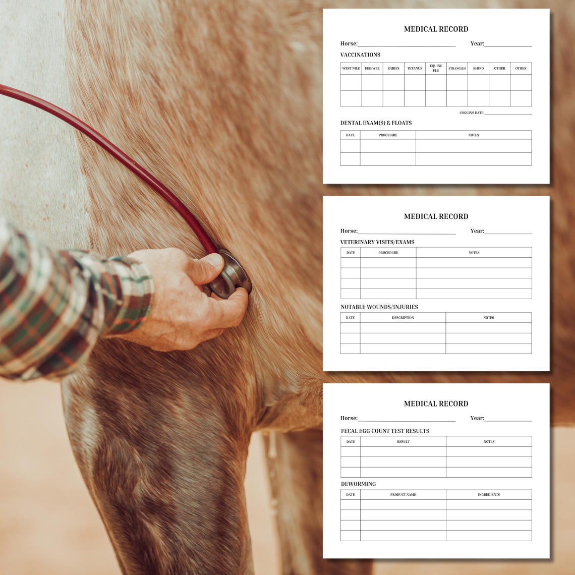 Horse Medical Record Tracking | Equine Veterinary Visit Log ...