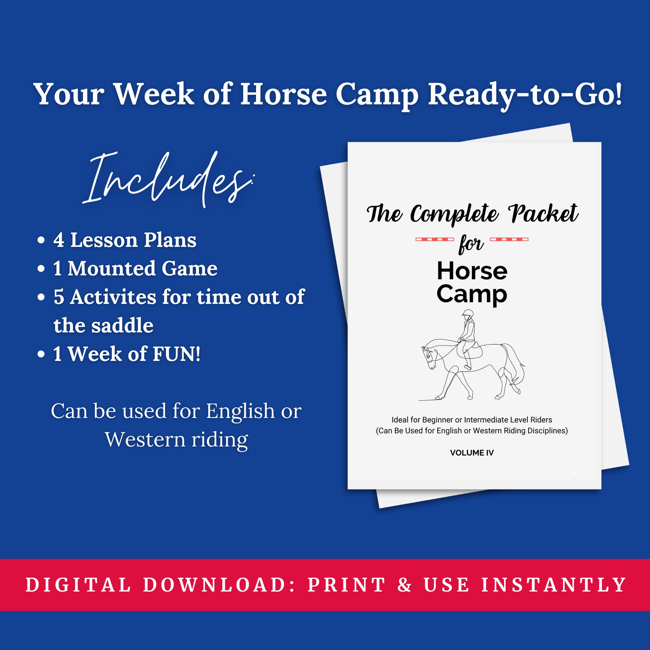 Horse Camp Activity Worksheet | Horseback Riding Lesson Plan ...