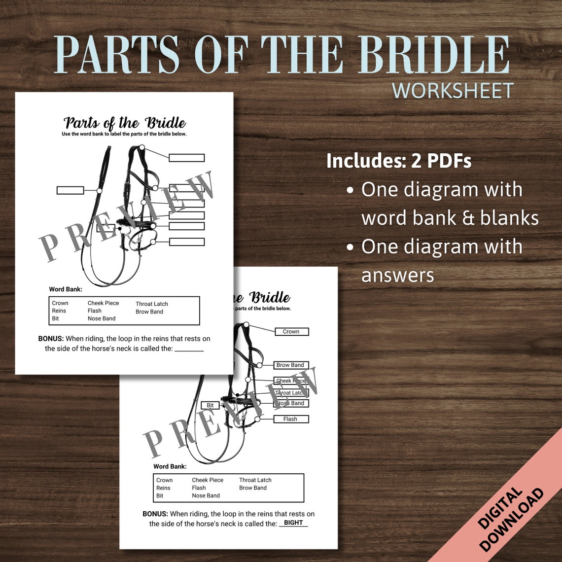 Parts of the Horse Bridle Worksheet | Horse Camp Activity Worksheet ...