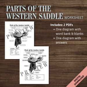 Parts of the Horses Western Saddle | Horse Tack Equipment Label ...