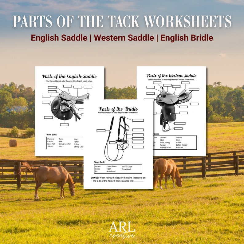 Horse Camp Worksheet Bundle | Horseback Riding Lesson Rain Day Activity | Homeschool Horse ...
