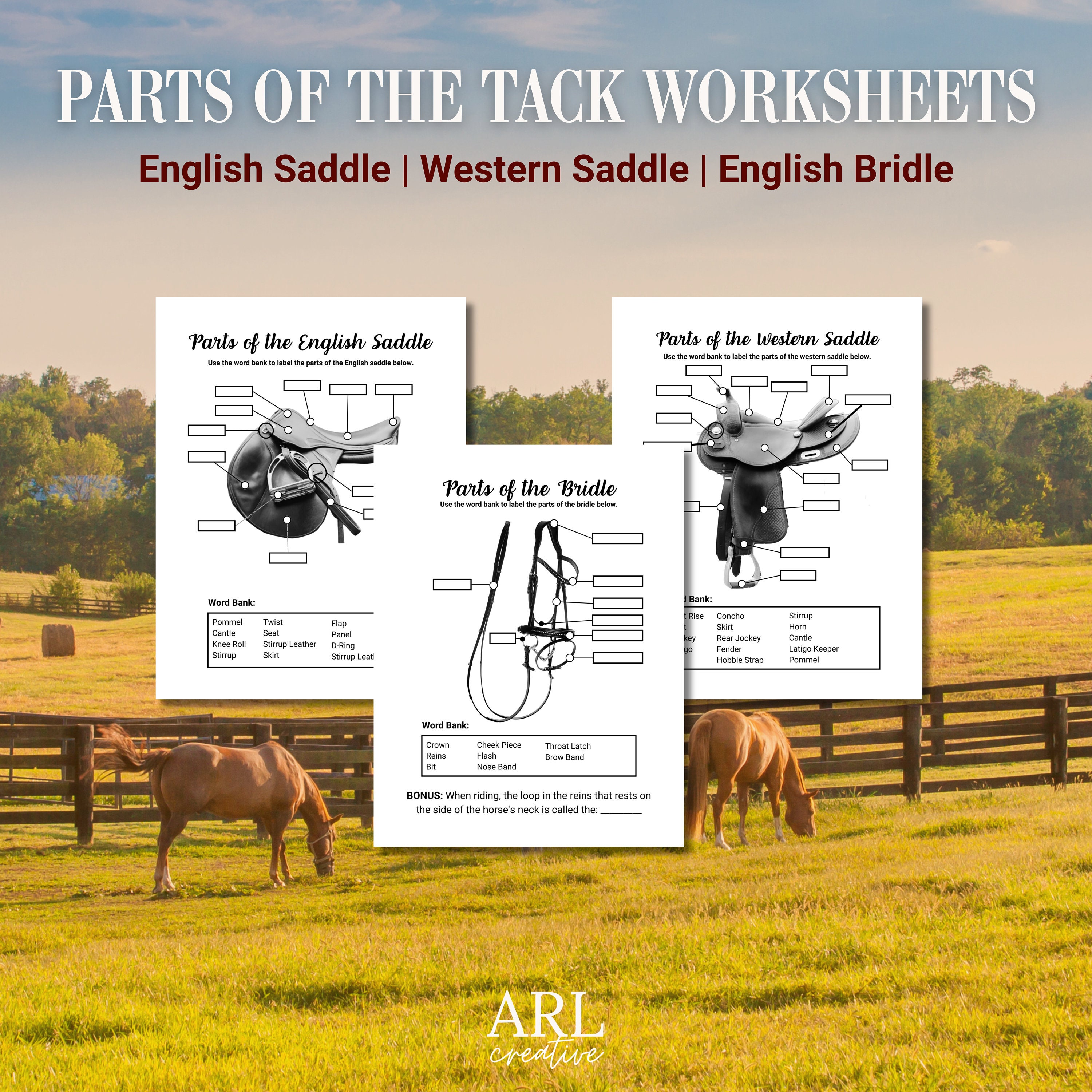 Horse Camp Worksheet Bundle | Horseback Riding Lesson Rain Day Activity ...