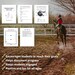 Horseback Riding Ability Tests | Equine Curriculum | Horsemanship Test ...