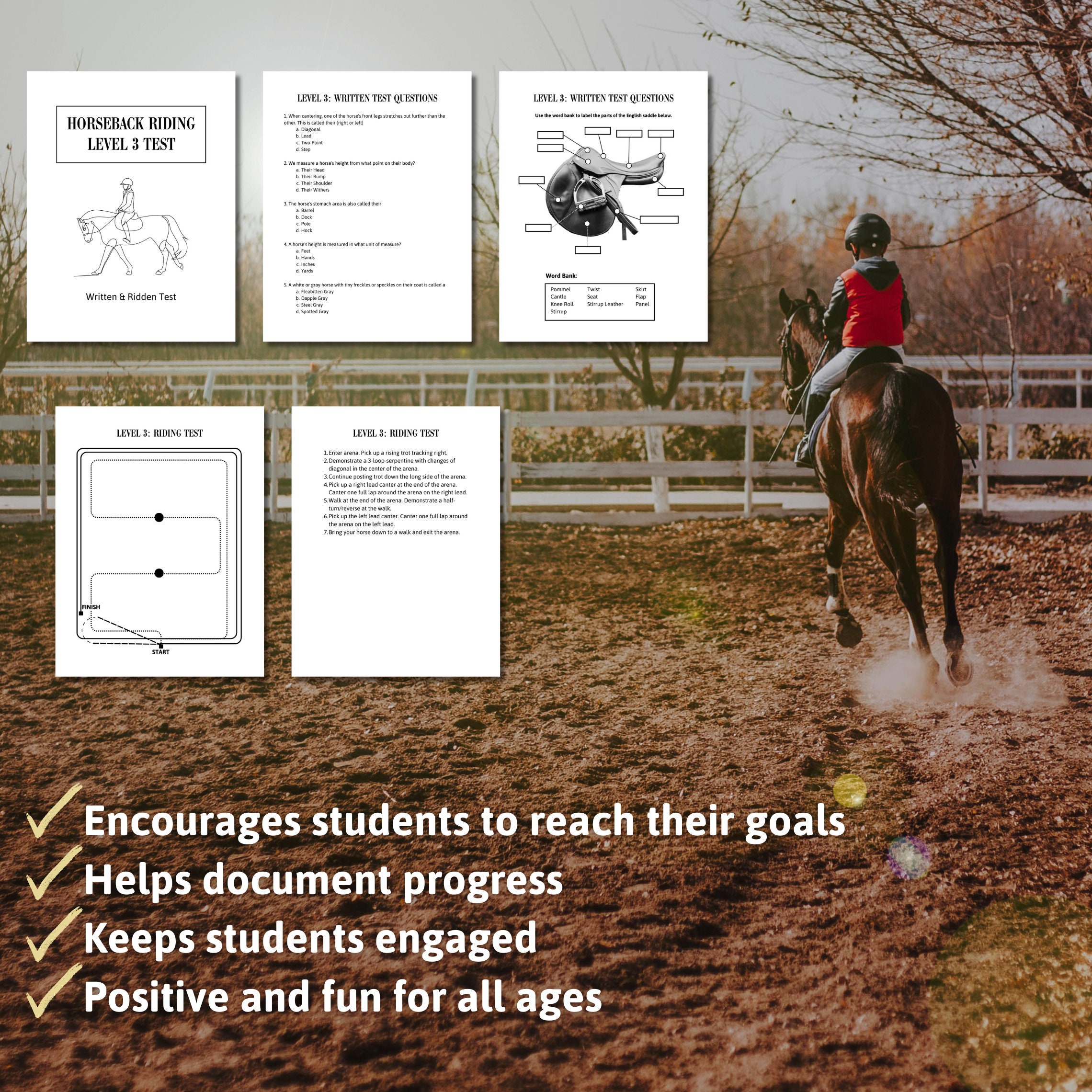 Horseback Riding Ability Tests | Equine Curriculum | Horsemanship Test ...